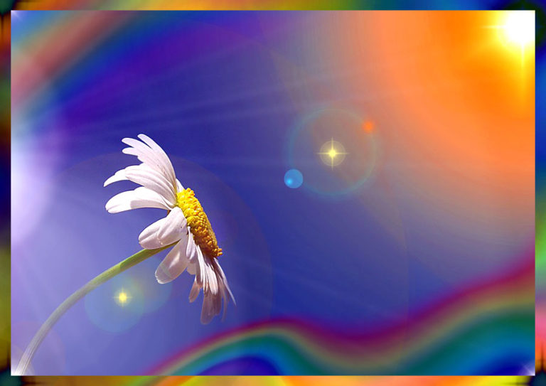 Spring Eternal – Science of Life